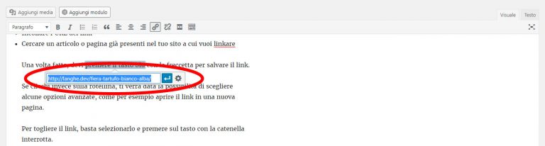 WordPress: come usare l'editor per formattare il testo